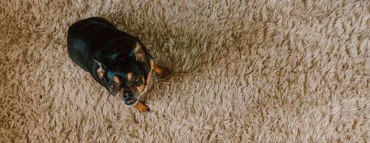 Unveiling Joy: Reveling in Colorful Kitchen Mats, Luxe Cushioning, and ...